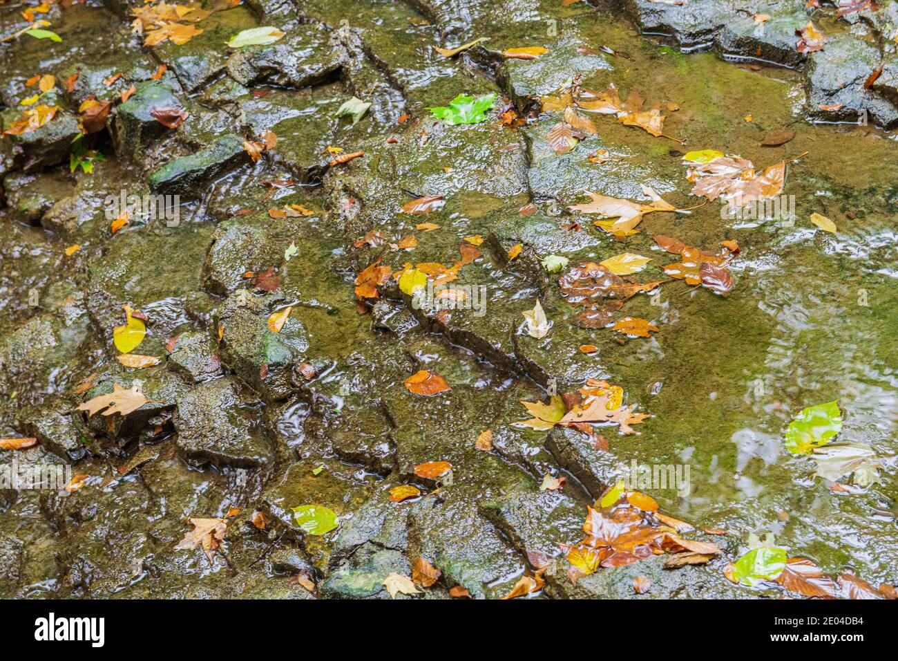 Princess Waterfalls Niagara Escarpment Chedoke Radial Trail Hamilton ...