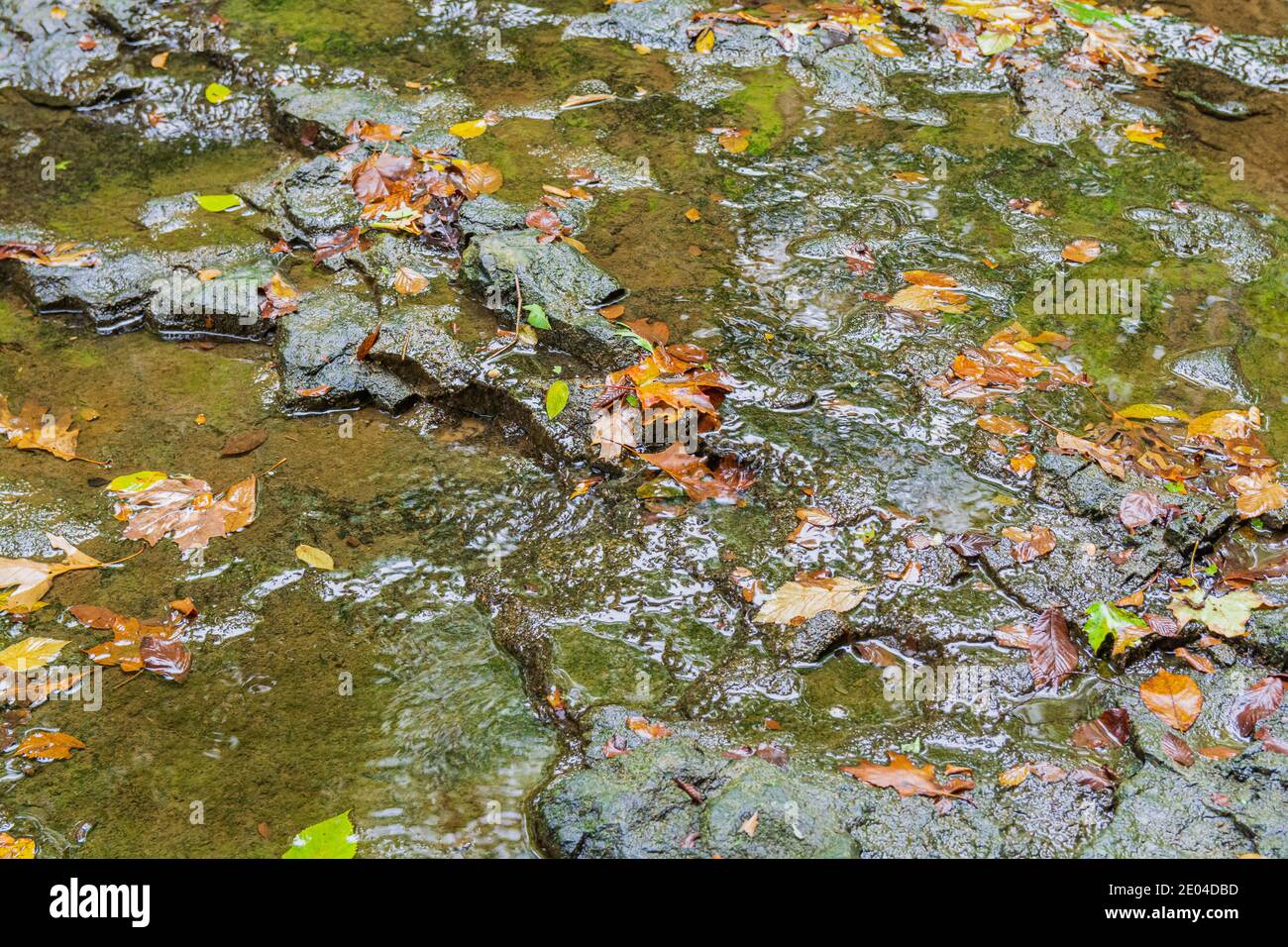 Princess Waterfalls Niagara Escarpment Chedoke Radial Trail Hamilton ...