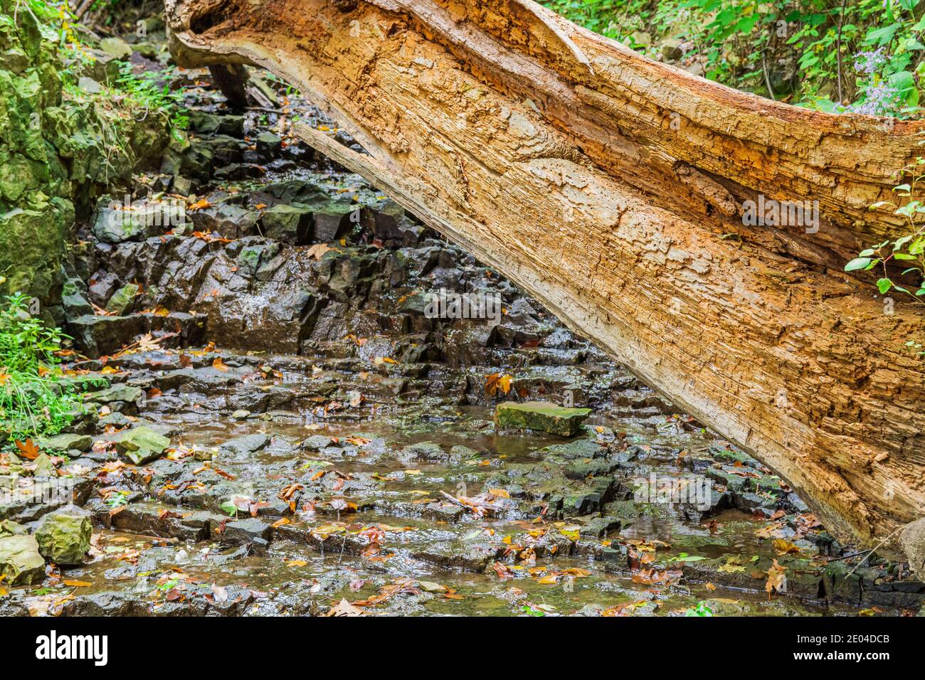 Princess Waterfalls Niagara Escarpment Chedoke Radial Trail Hamilton ...