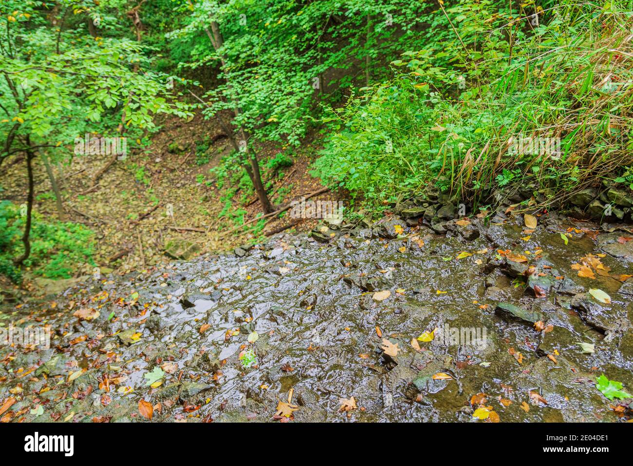 Princess Waterfalls Niagara Escarpment Chedoke Radial Trail Hamilton ...