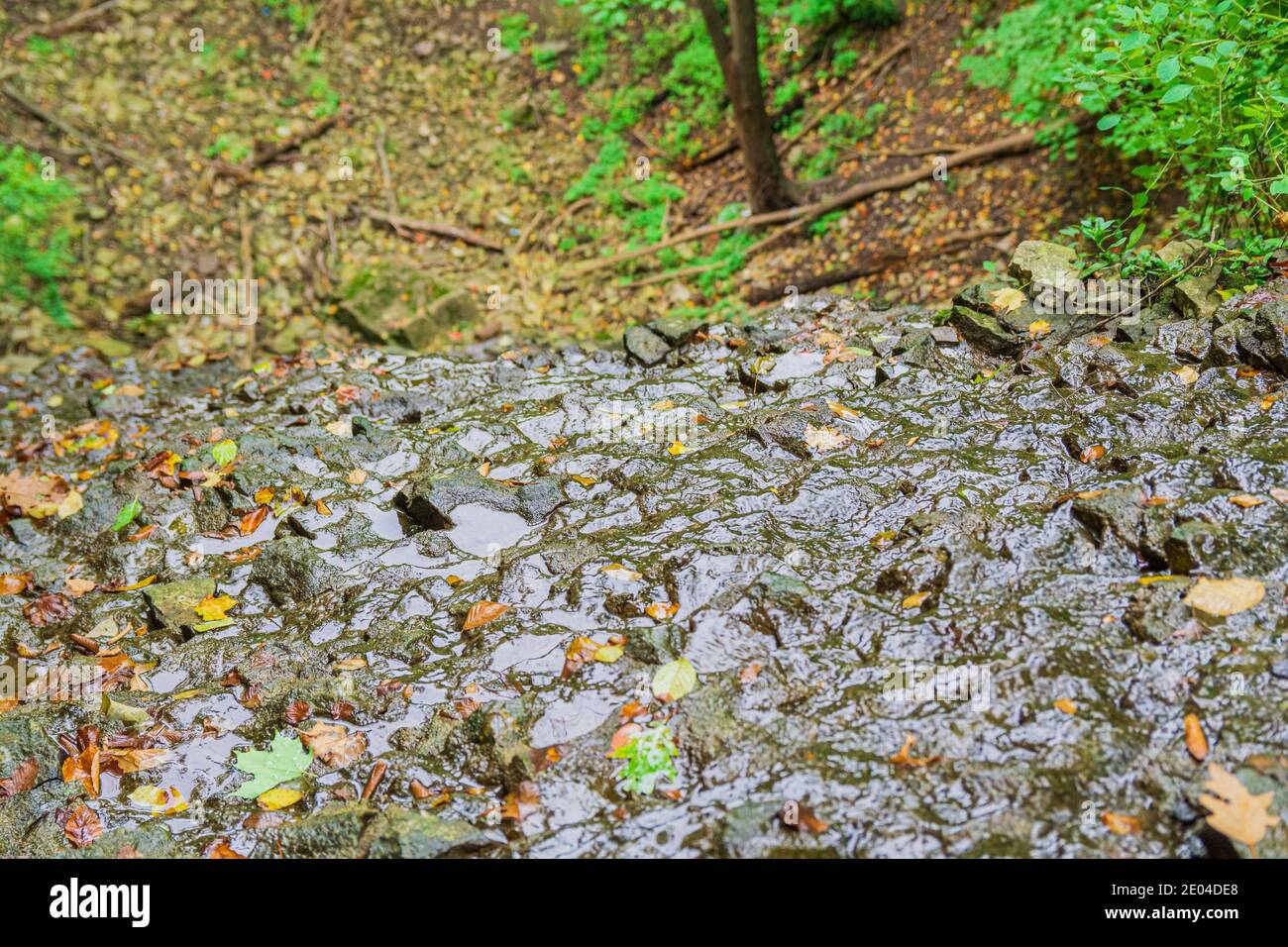 Princess Waterfalls Niagara Escarpment Chedoke Radial Trail Hamilton ...