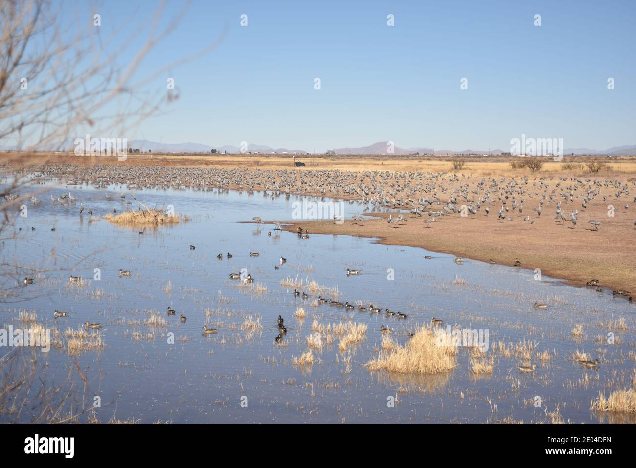 Mcneal hi-res stock photography and images - Alamy