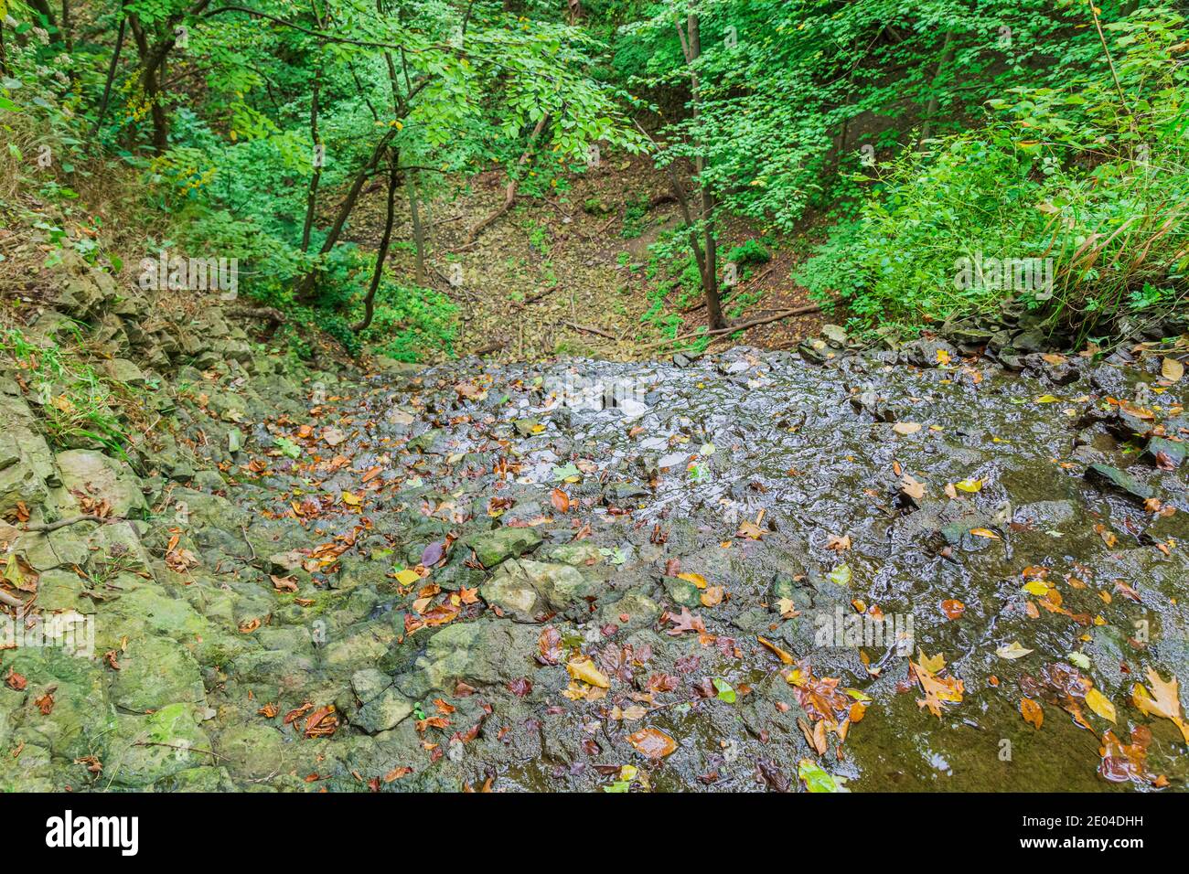 Princess Waterfalls Niagara Escarpment Chedoke Radial Trail Hamilton ...