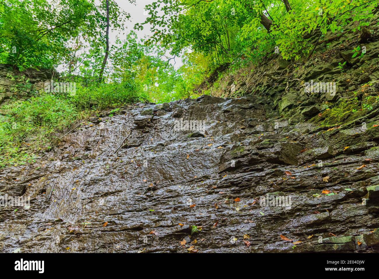 Princess Waterfalls Niagara Escarpment Chedoke Radial Trail Hamilton ...