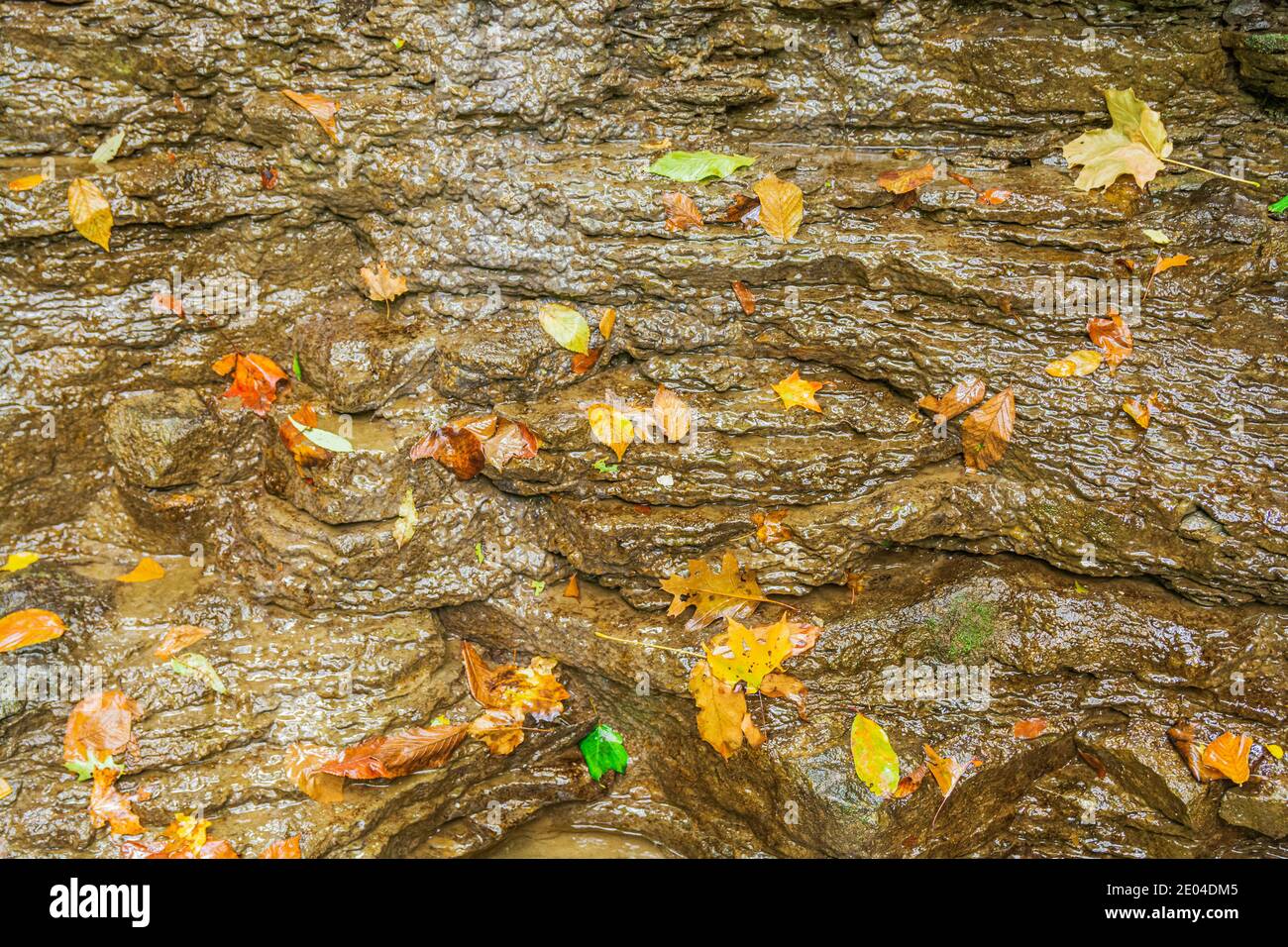 Princess Waterfalls Niagara Escarpment Chedoke Radial Trail Hamilton ...