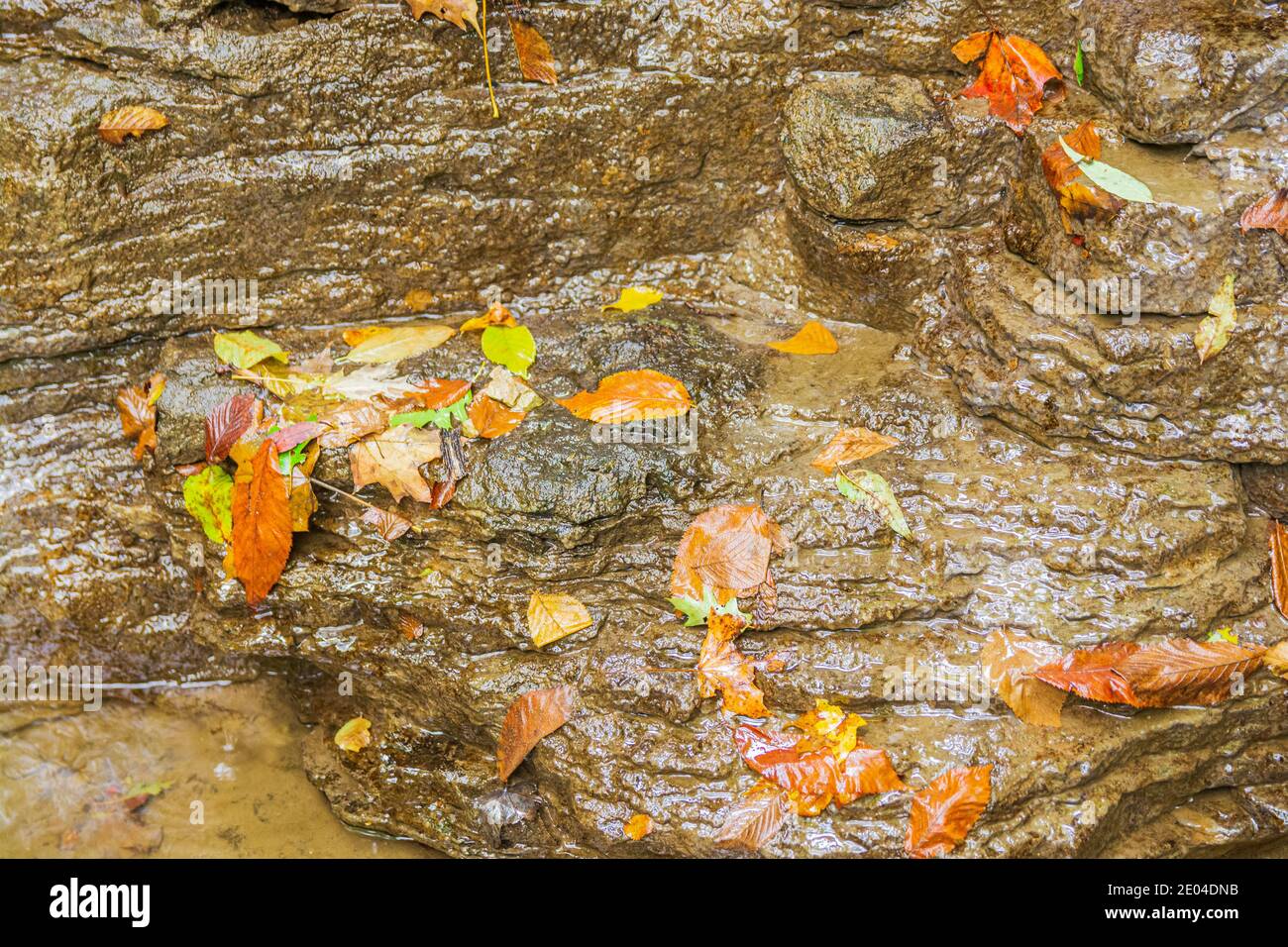 Princess Waterfalls Niagara Escarpment Chedoke Radial Trail Hamilton ...