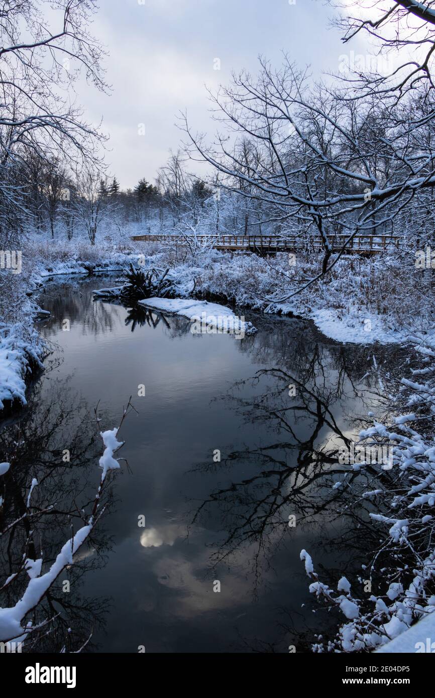 Sky Reflection in Sheridan Creek in Rattray Marsh Conservation Area ...