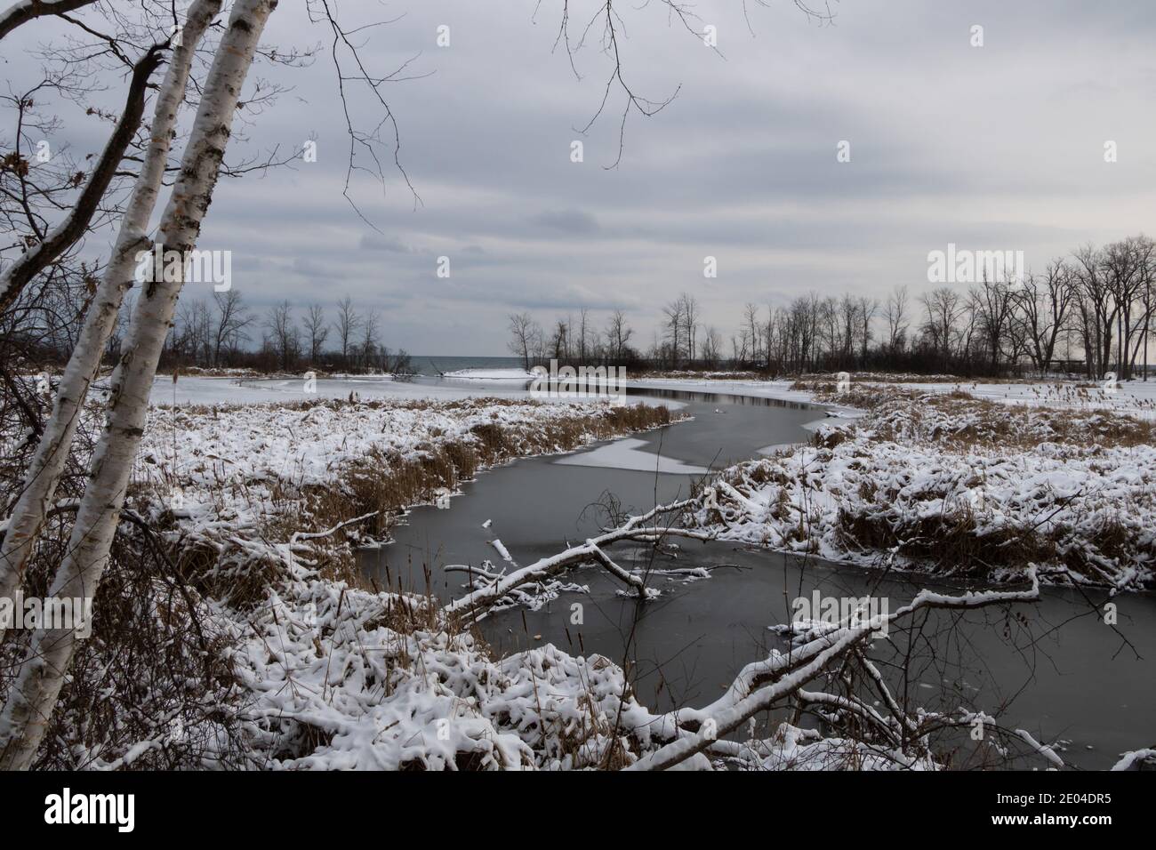 Marsh conservation hi-res stock photography and images - Alamy