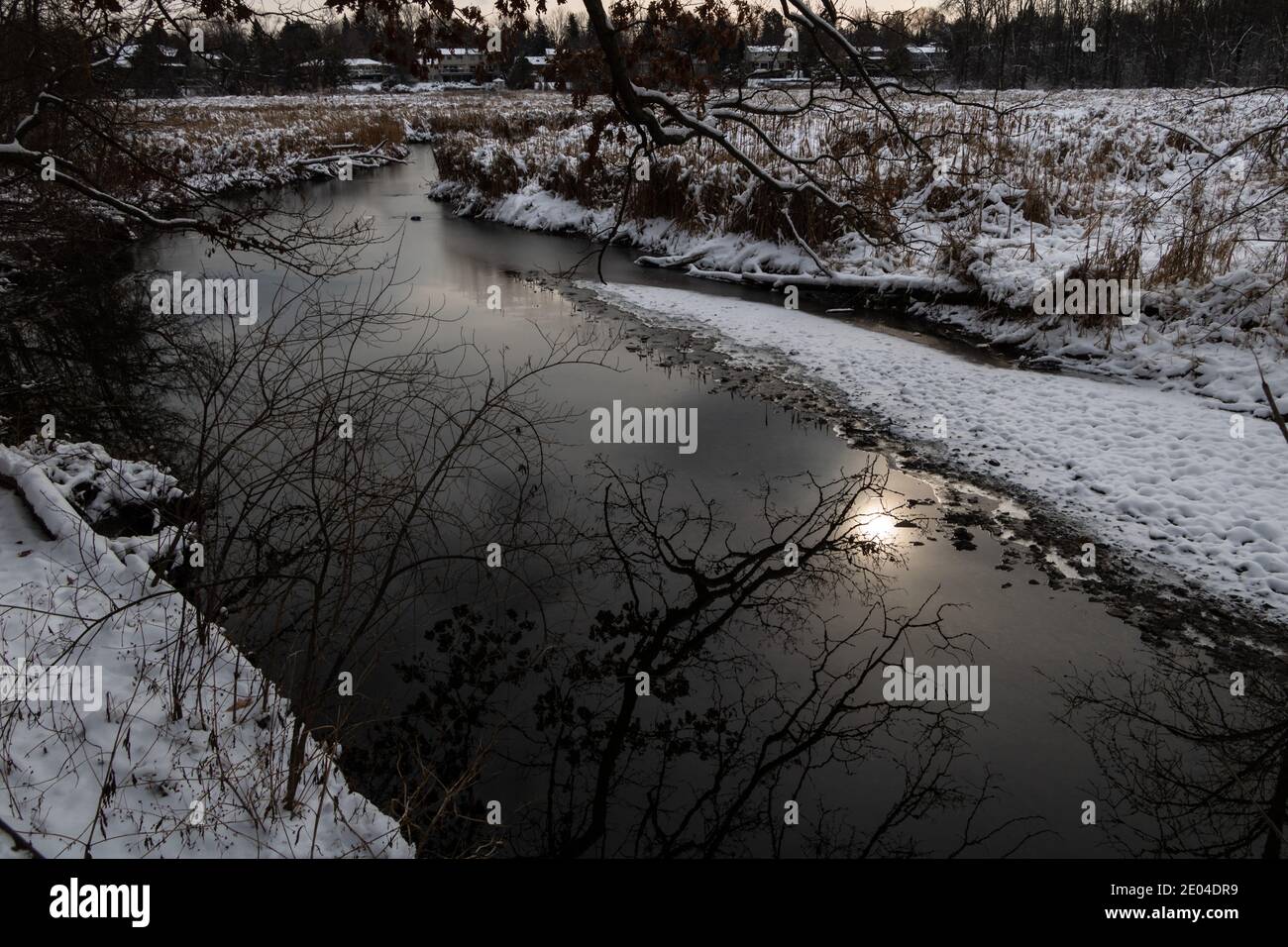 Sun Reflection in Sheridan Creek in Rattray Marsh Conservation Area ...