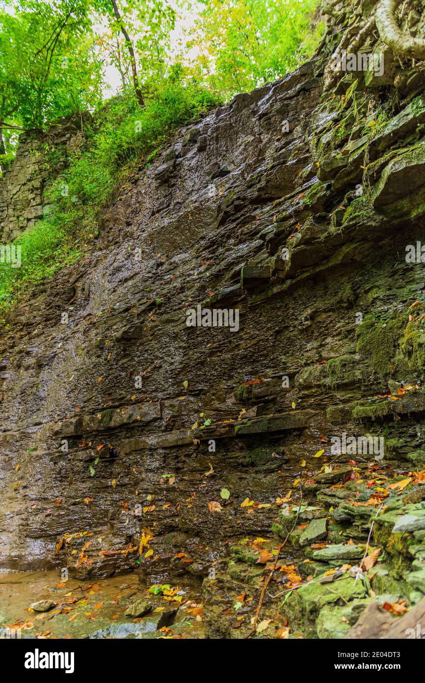 Princess Waterfalls Niagara Escarpment Chedoke Radial Trail Hamilton ...