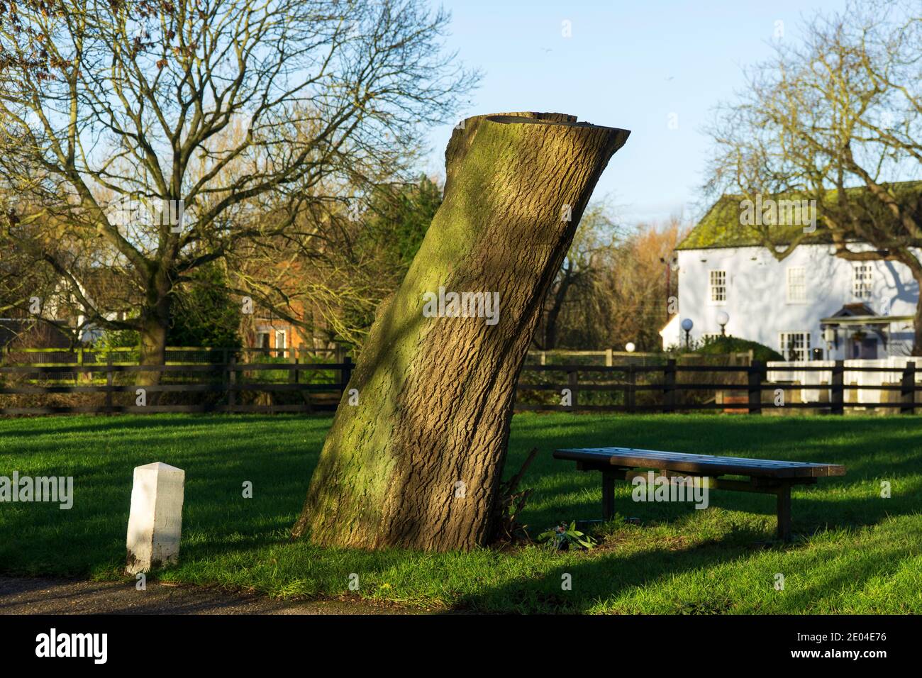 Cut tree trunk leaning over Stock Photo - Alamy