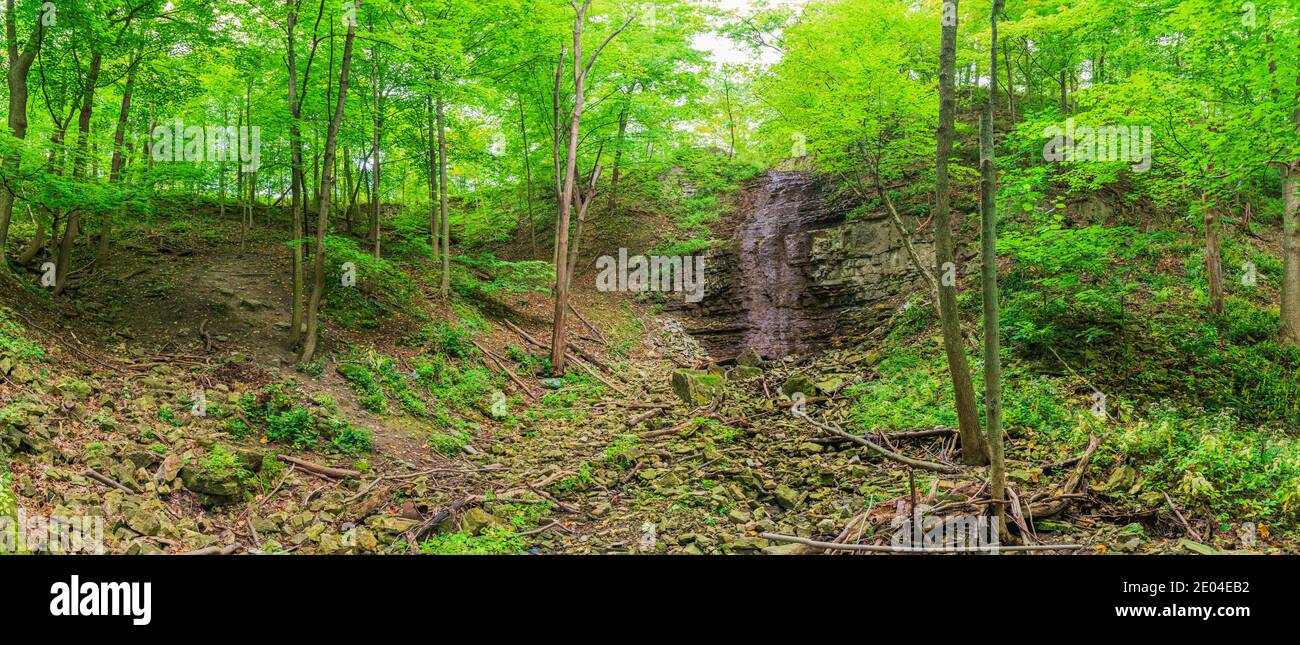 Princess Waterfalls Niagara Escarpment Chedoke Radial Trail Hamilton ...