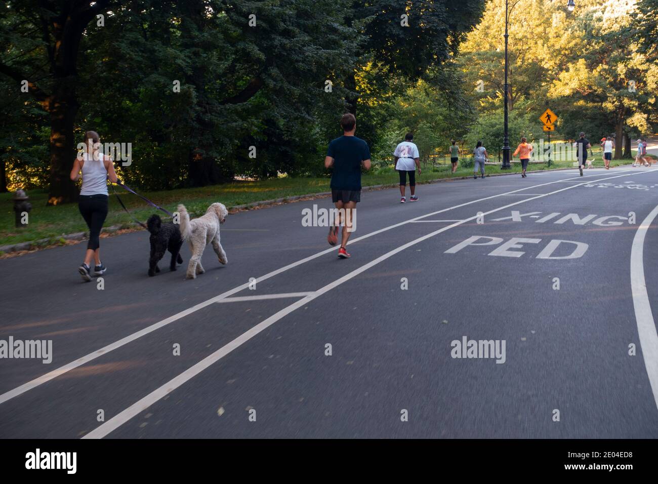 people running in prospect park Brooklyn NYC Stock Photo - Alamy