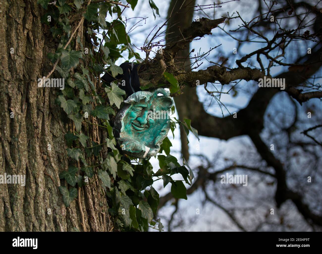 Green man image in an oak tree at Silchester or Calleva Atrebatum roman ...