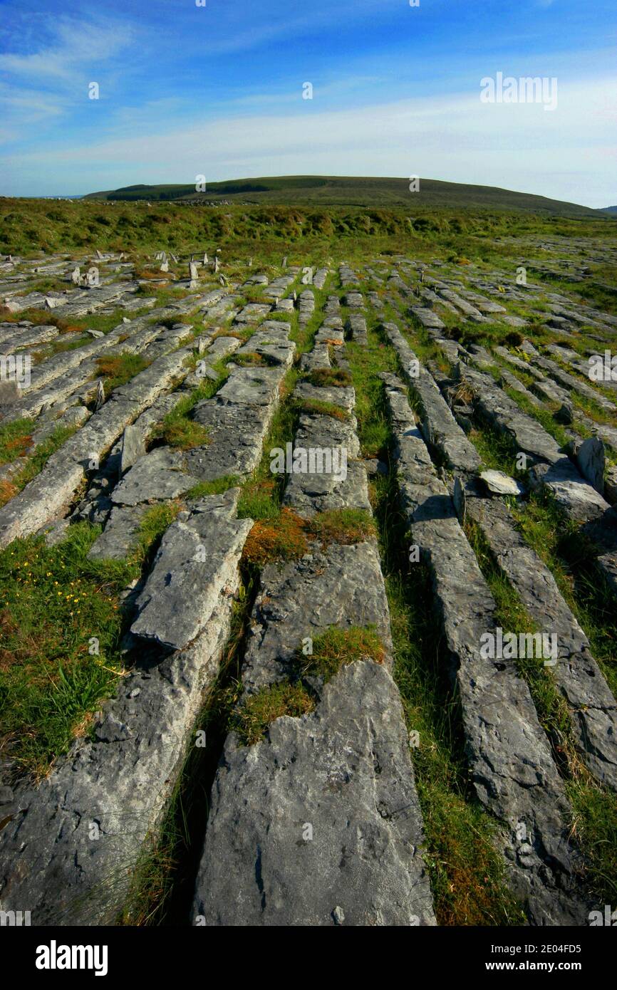 Desert pavements hi-res stock photography and images - Alamy