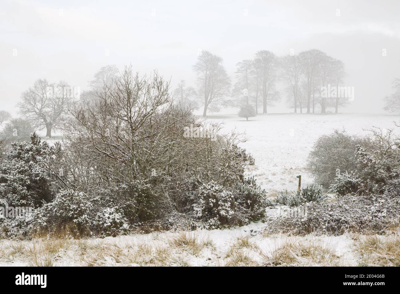 Misty and snowy winter landscape in Poynton, Cheshire Stock Photo - Alamy