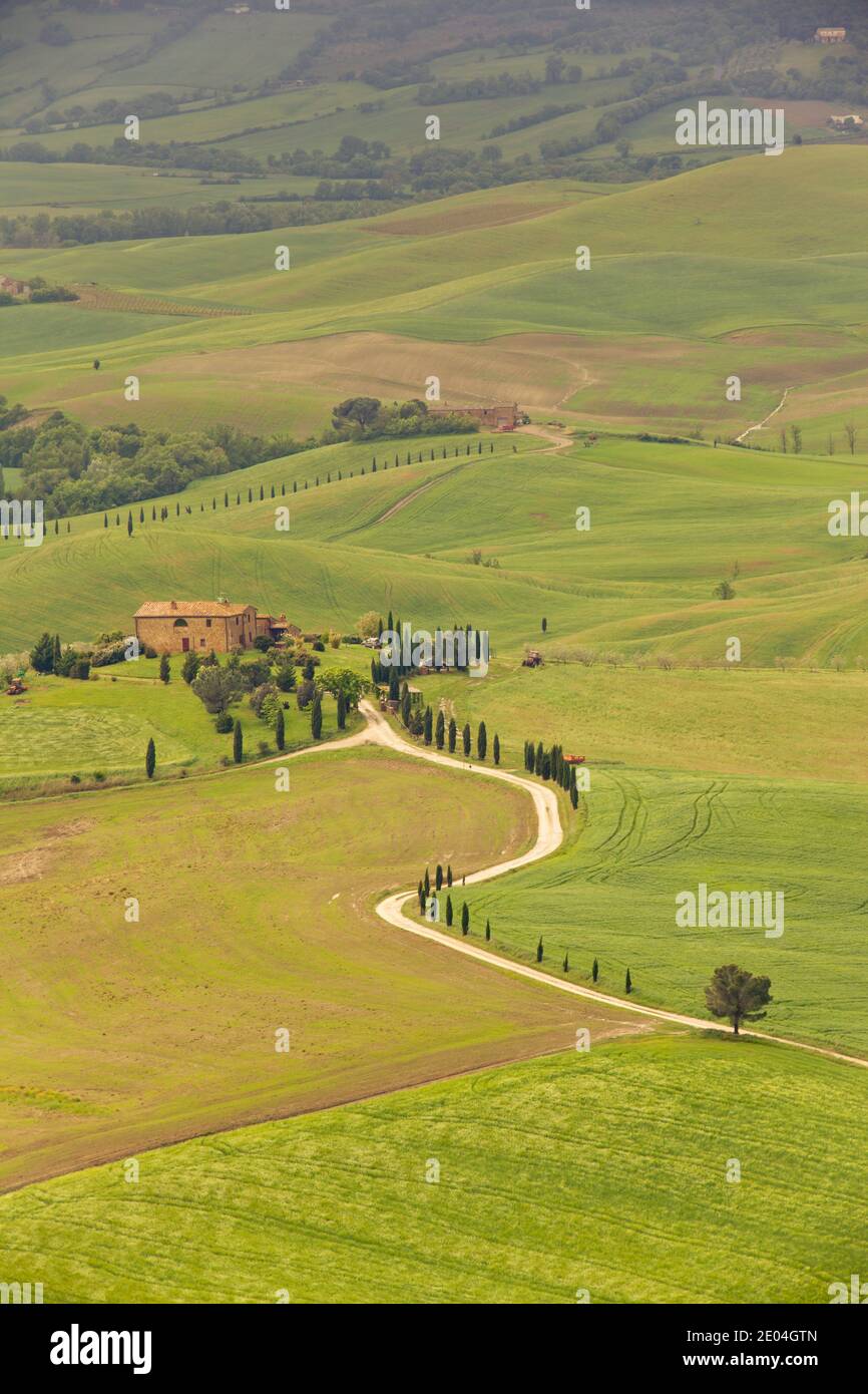 Typical Tuscan landscape in Italy Stock Photo - Alamy