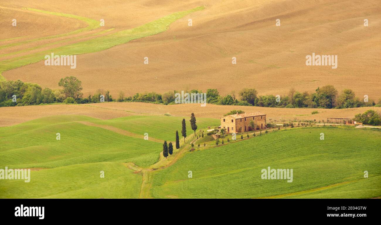 Typical Tuscan landscape in Italy Stock Photo - Alamy