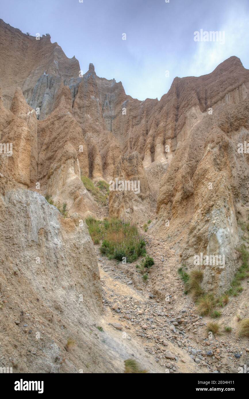 Clay cliffs Paritea in New Zealand Stock Photo - Alamy