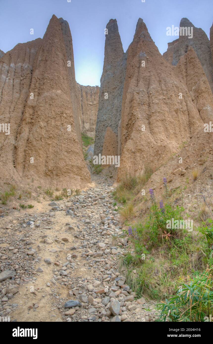 Clay cliffs Paritea in New Zealand Stock Photo - Alamy