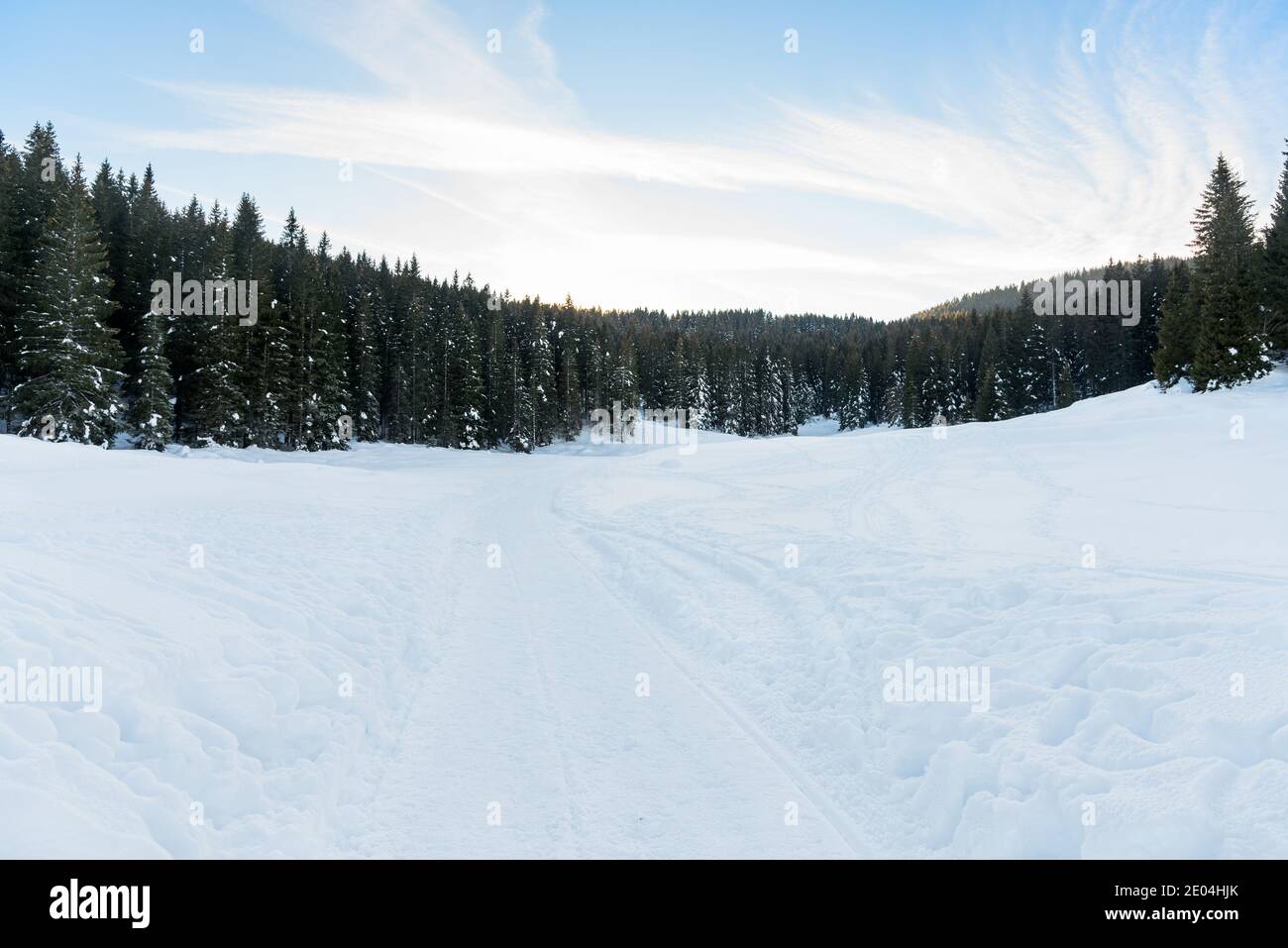 Snowy sunset in a forest hi-res stock photography and images - Alamy