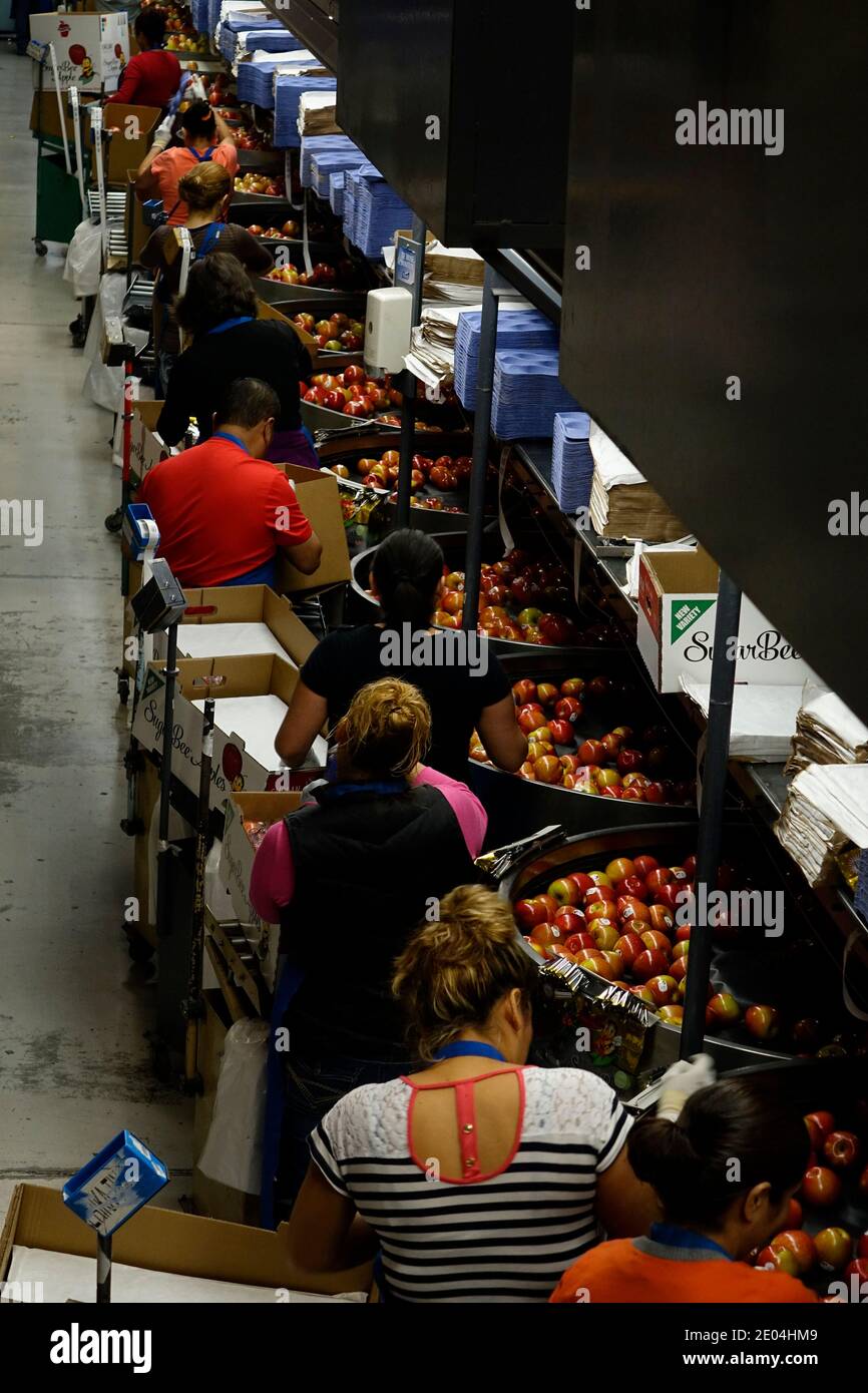 Fruit Packing High Resolution Stock Photography and Images - Alamy