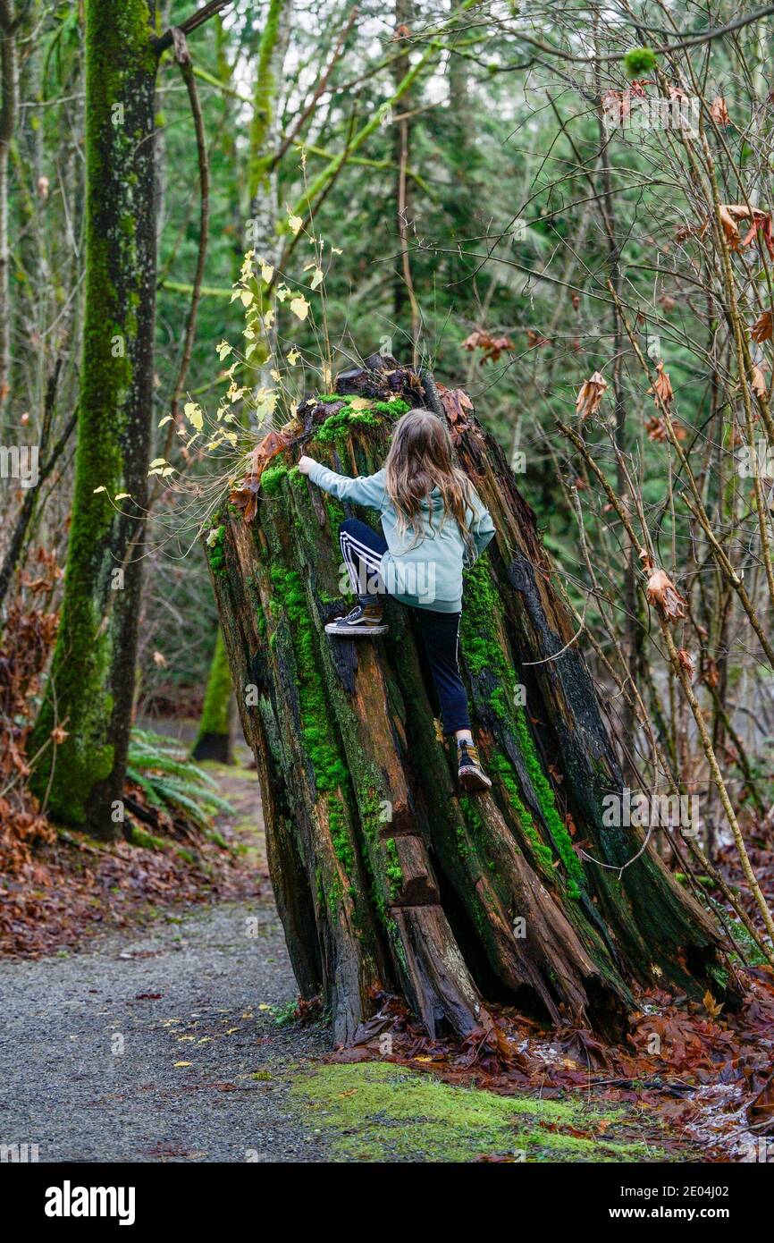 Boy climbing tree stump in forest Stock Photo - Alamy
