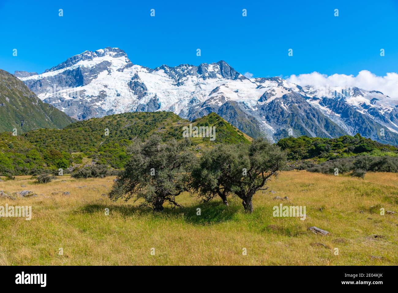 Mount Sefton at Aoraki / Mount Cook national park in New Zealand Stock ...