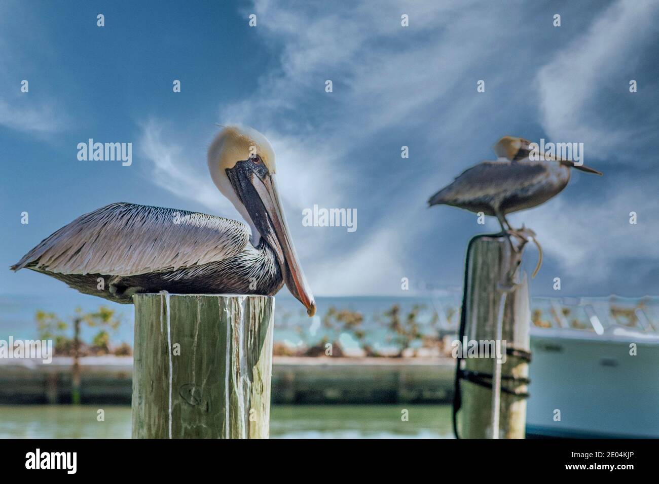 Islamorada Upper Florida Keys High Resolution Stock Photography and ...