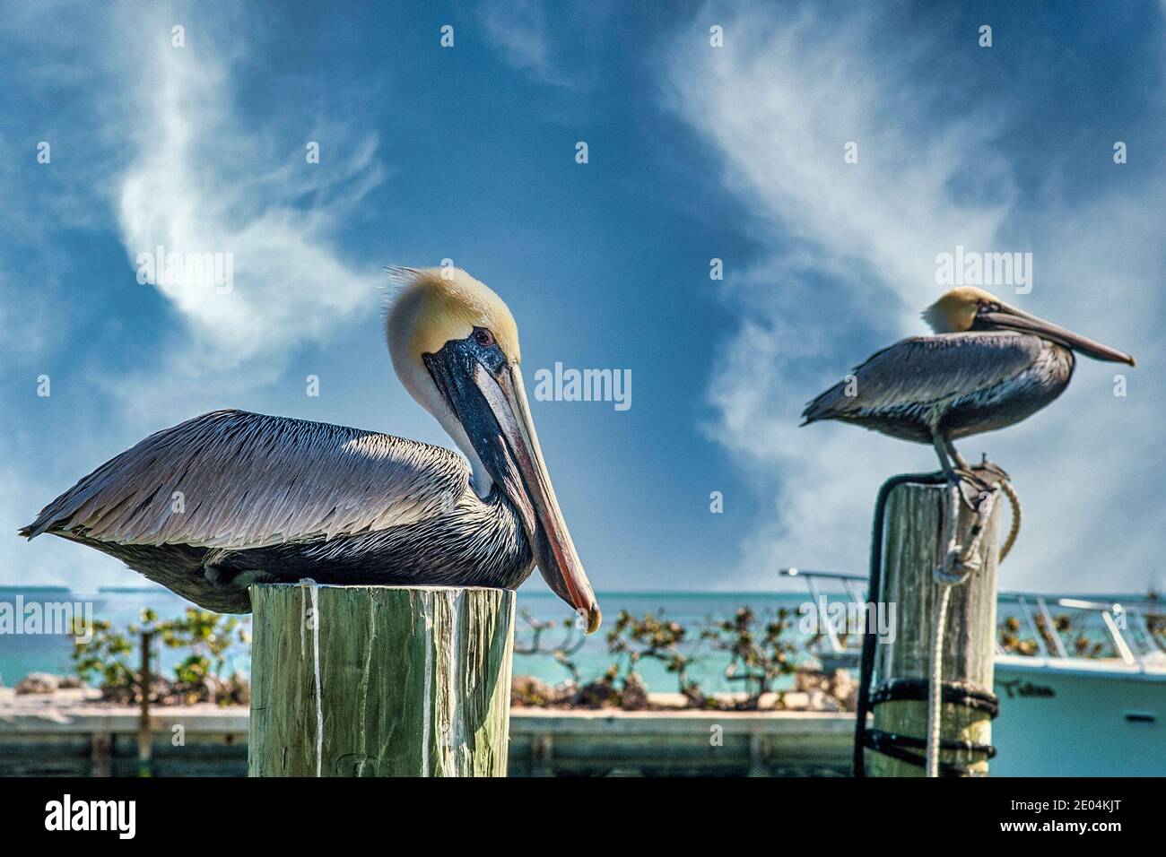 Islamorada Upper Florida Keys High Resolution Stock Photography and ...