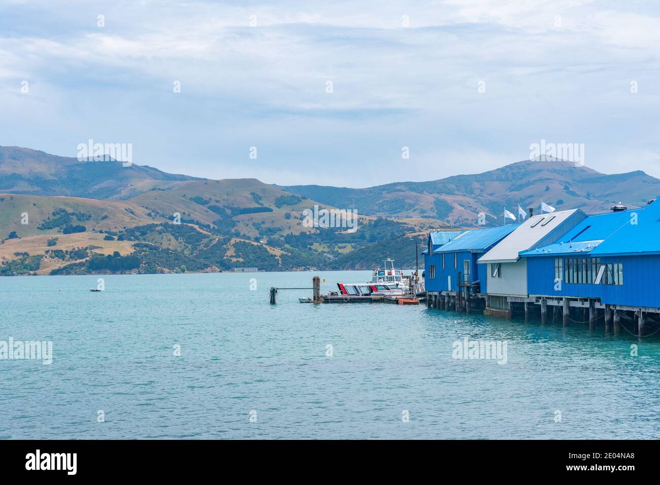Wharf at Akaroa, New Zealand Stock Photo - Alamy