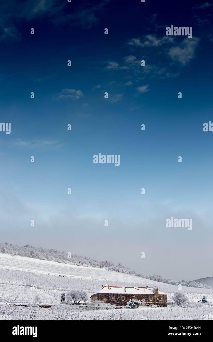 Vineyard with building in Pecs, hungary with snow Stock Photo - Alamy