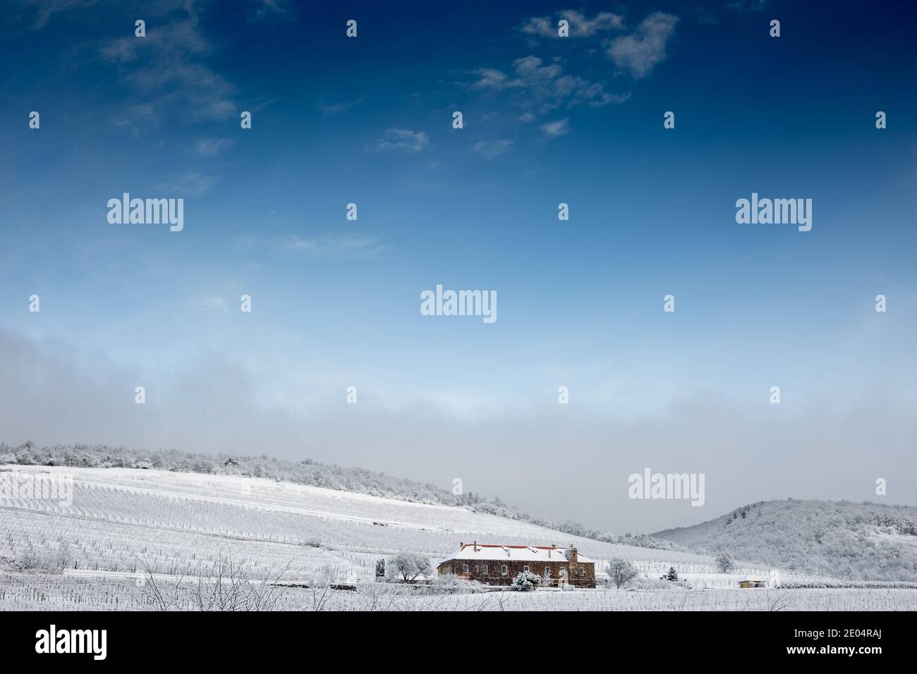 Vineyard with building in Pecs, hungary with snow Stock Photo - Alamy