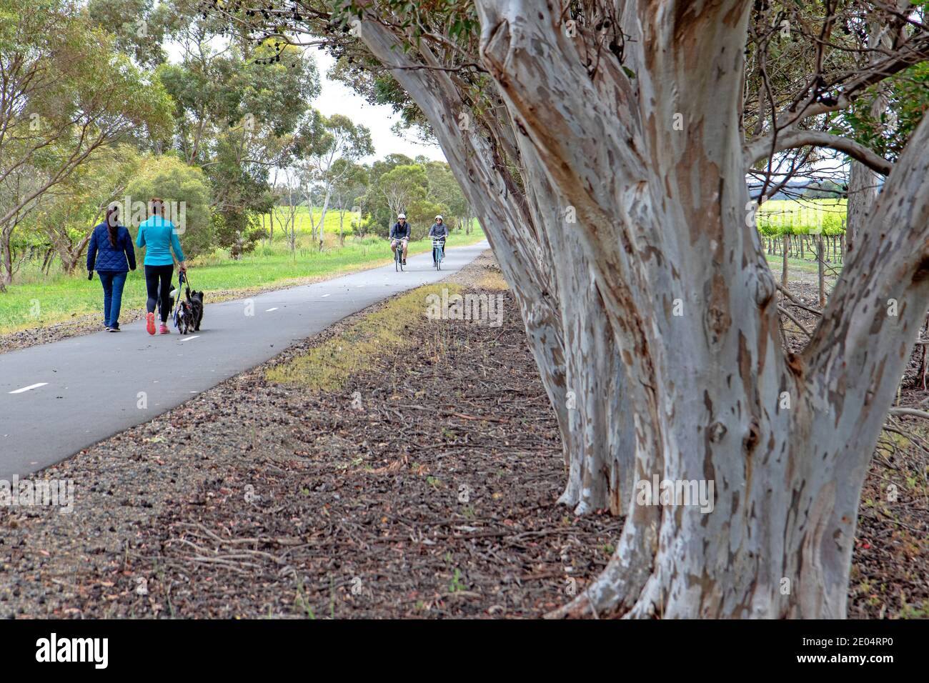 Shiraz trail hi-res stock photography and images - Alamy