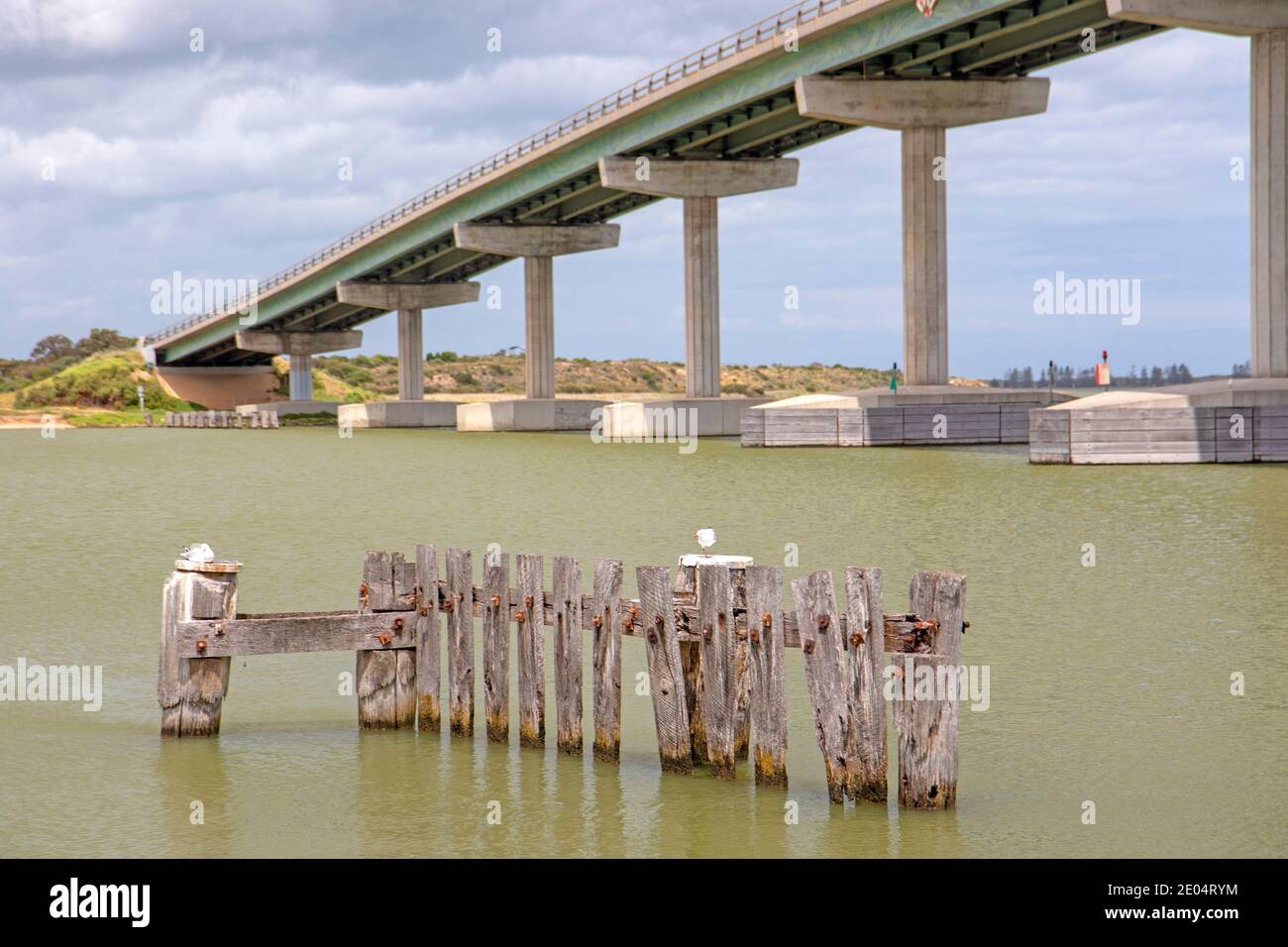 Hindmarsh Island Bridge over the Murray River at Goolwa Stock Photo - Alamy