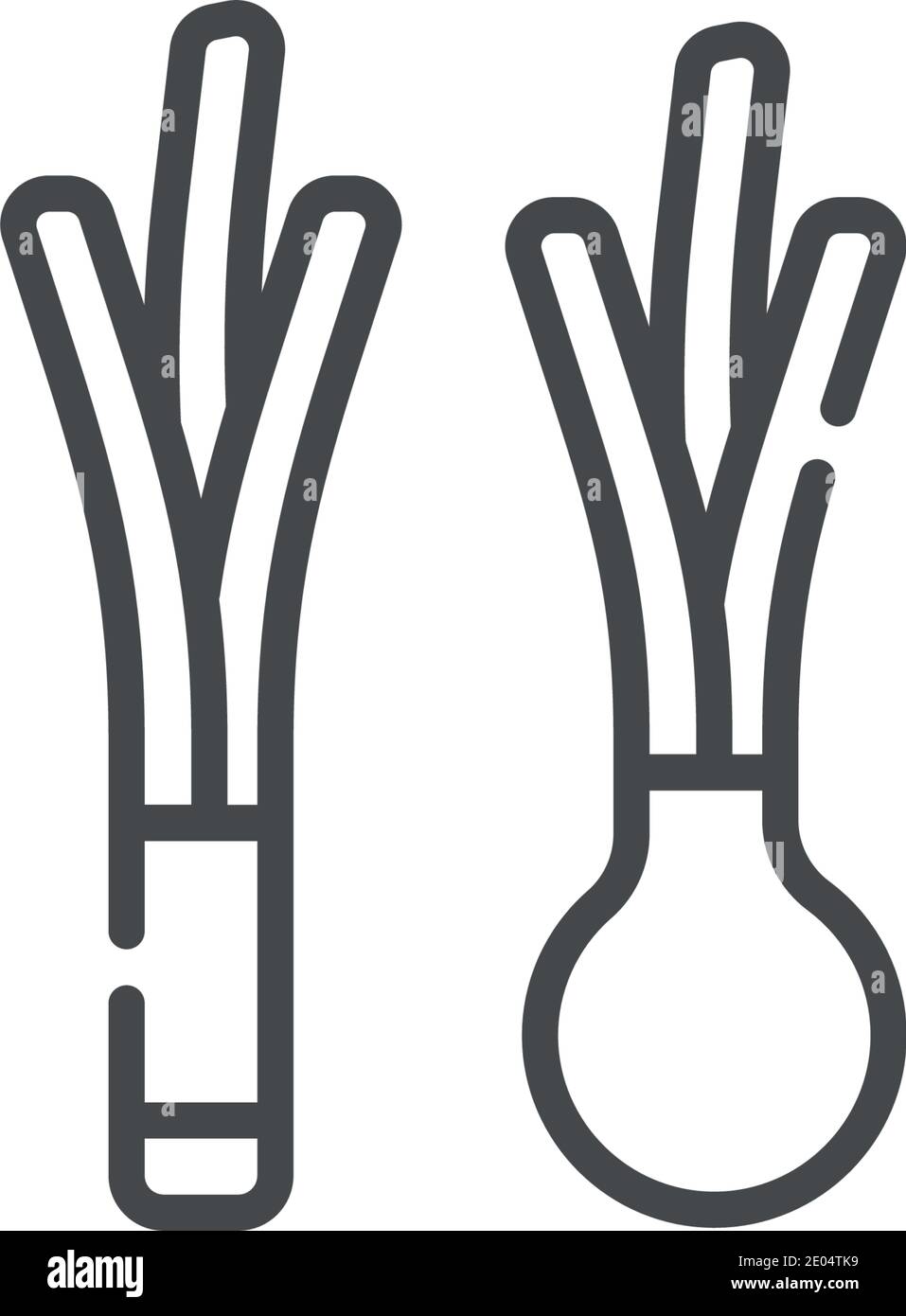 leek vector icon modern simple vector illustration Stock Vector Image ...