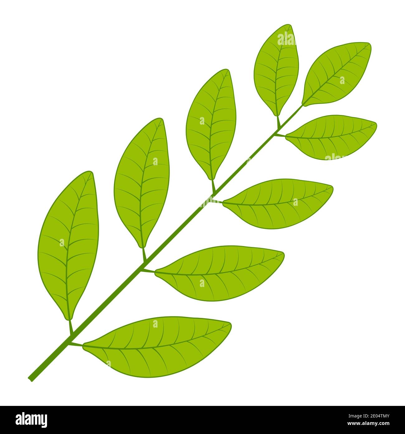 Their victory Stock Vector Images - Alamy