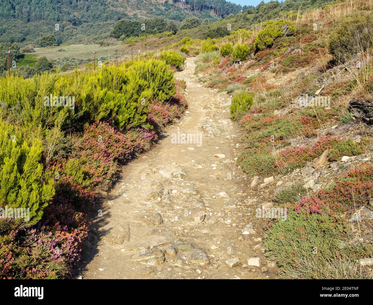 Camino track close to Punto Alto - Manjarin, Castile and Leon, Spain ...