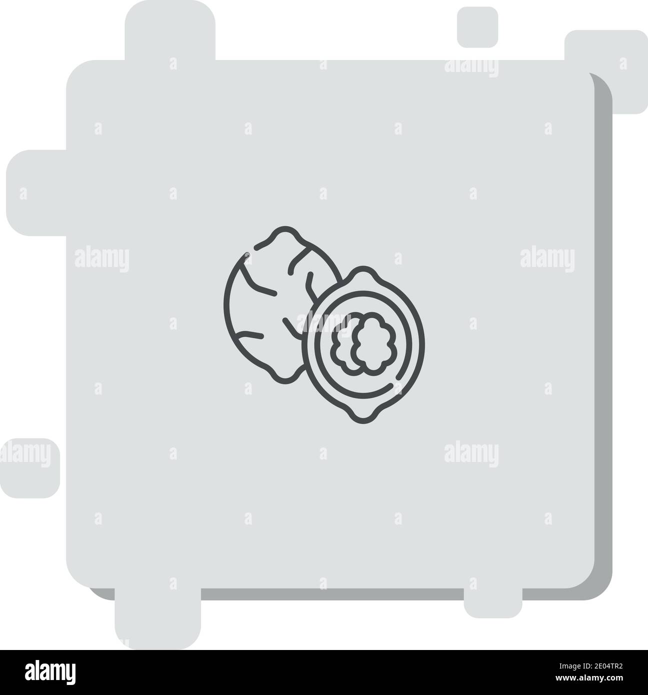walnut vector icon modern simple vector illustration Stock Vector Image ...