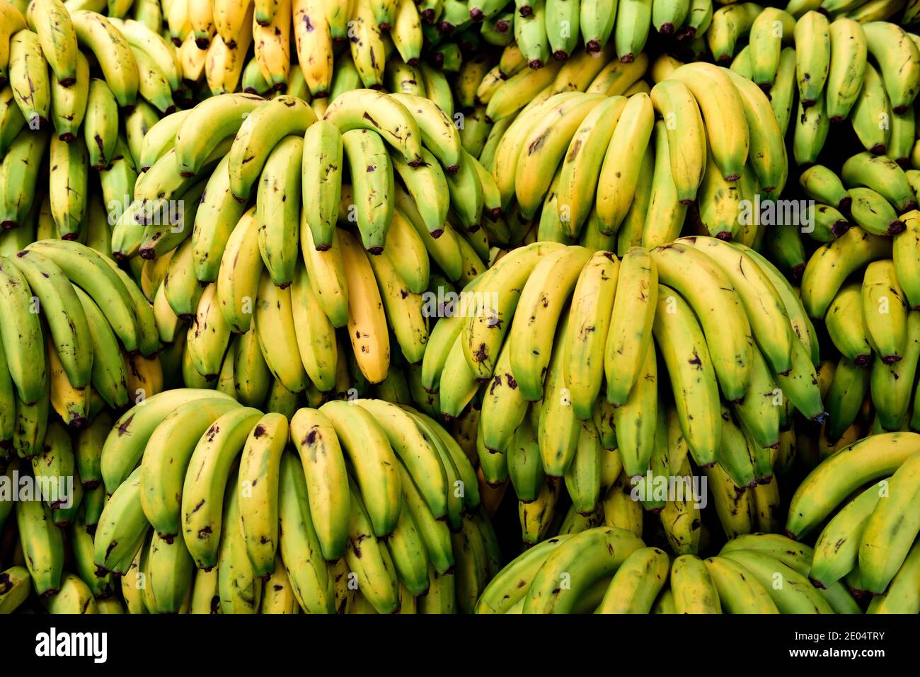 Banana Plantation Colombia High Resolution Stock Photography and Images ...