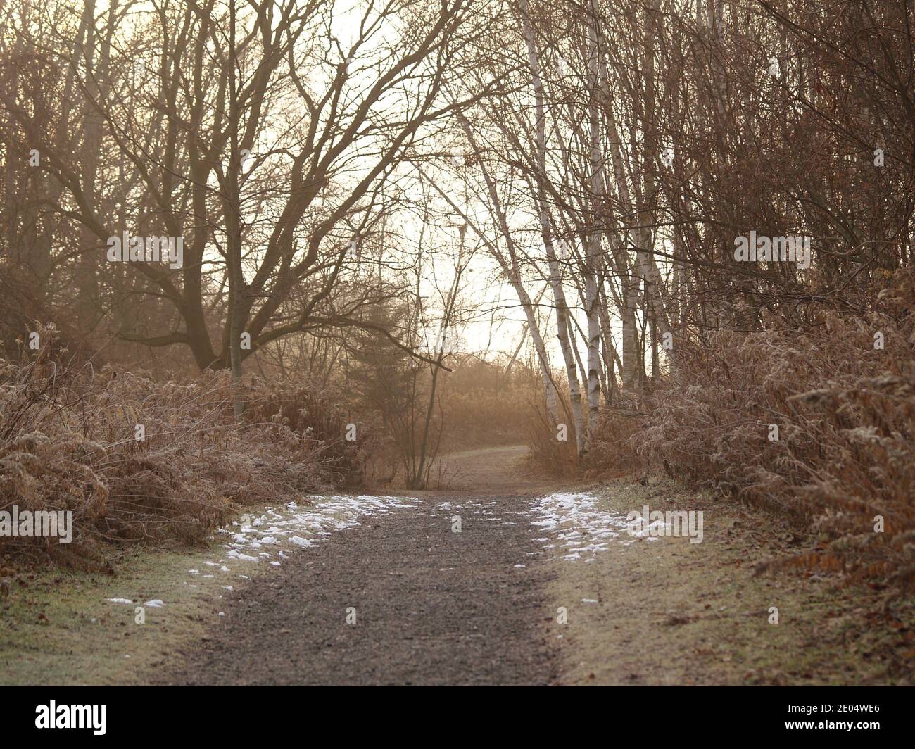 Whitby shore hi-res stock photography and images - Alamy