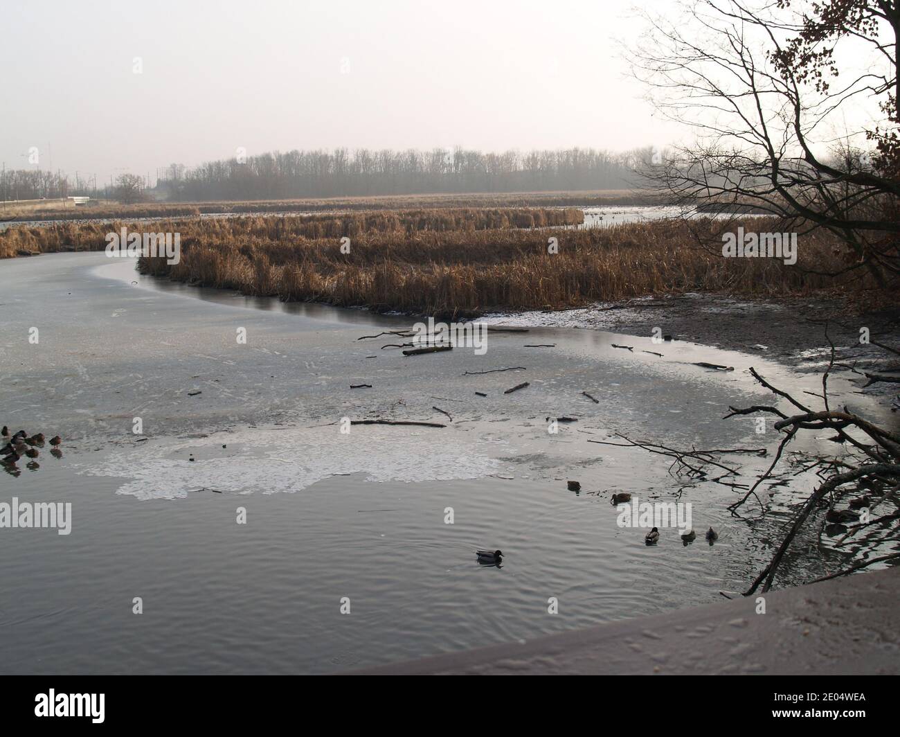 Whitby shore hi-res stock photography and images - Alamy
