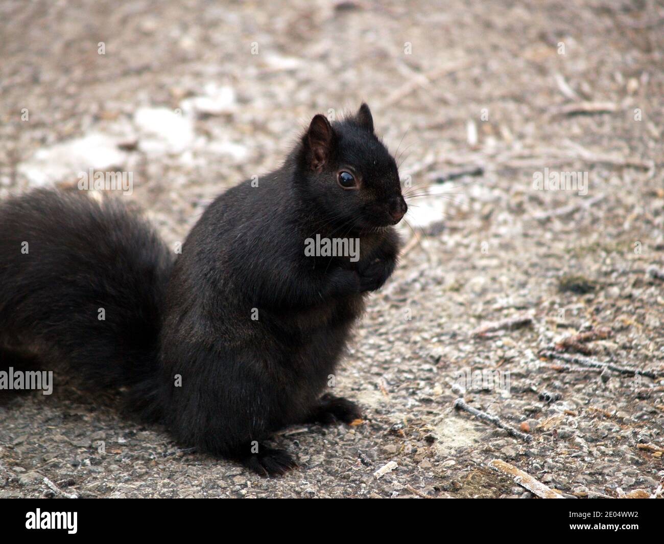 Whitby shore hi-res stock photography and images - Alamy