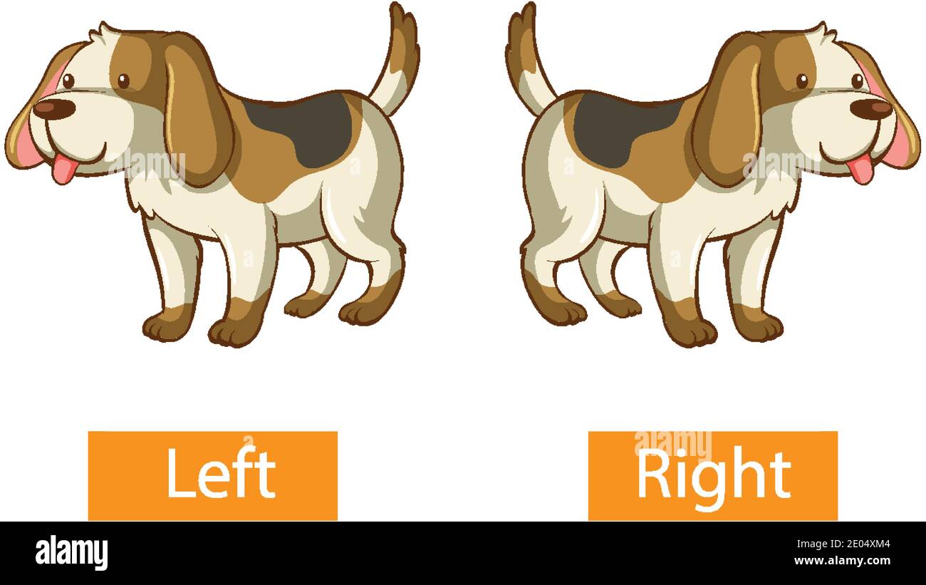 Opposite words with left and right illustration Stock Vector Image ...