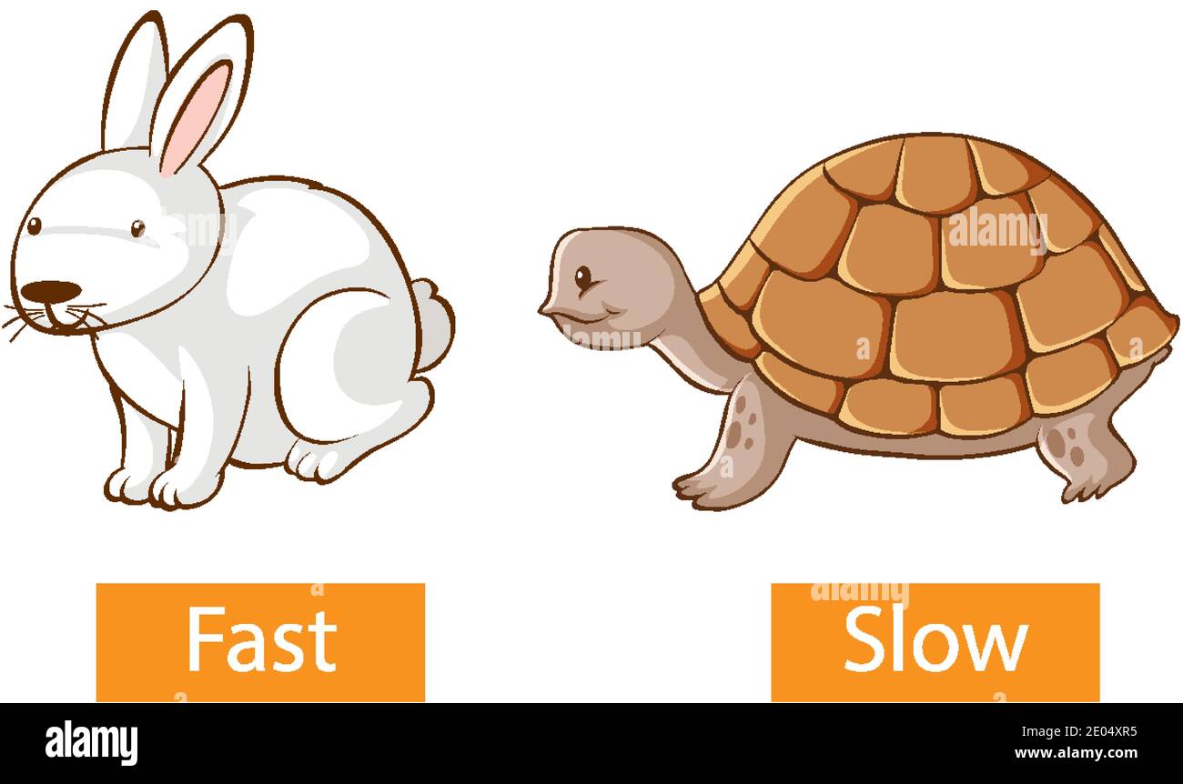 Slow fast opposite Stock Vector Images - Alamy