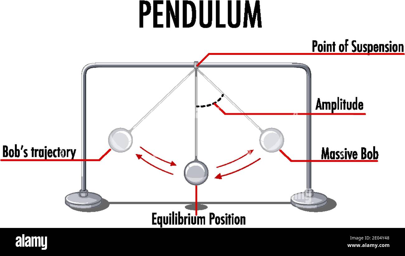 Pendulum's movement infographic for physics educational illustration ...