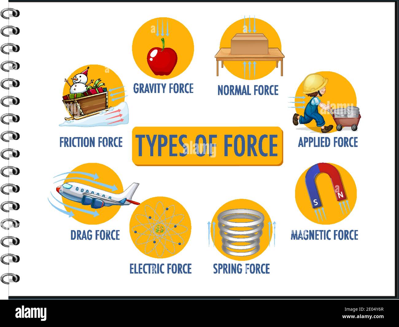 Types of force for children physics educational poster illustration ...