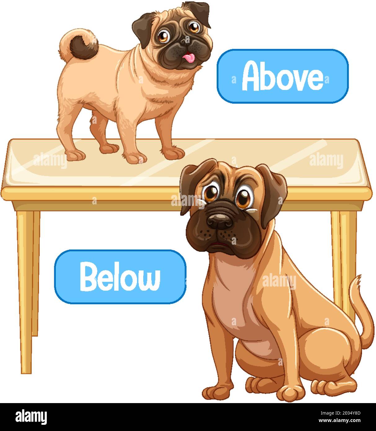 Above And Below Images For Kids