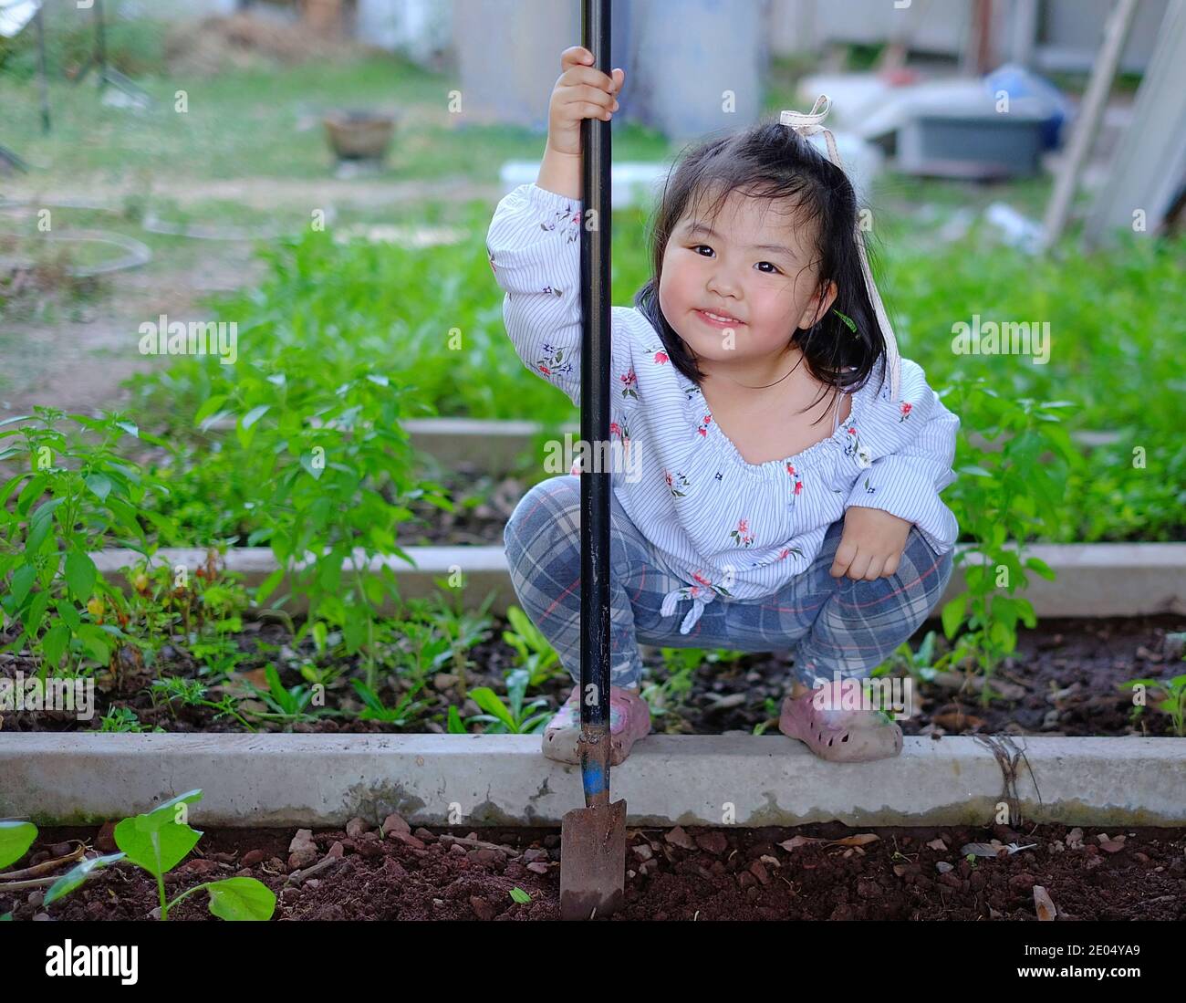 A cute Asian girl helping her family to grow vegetables in their ...