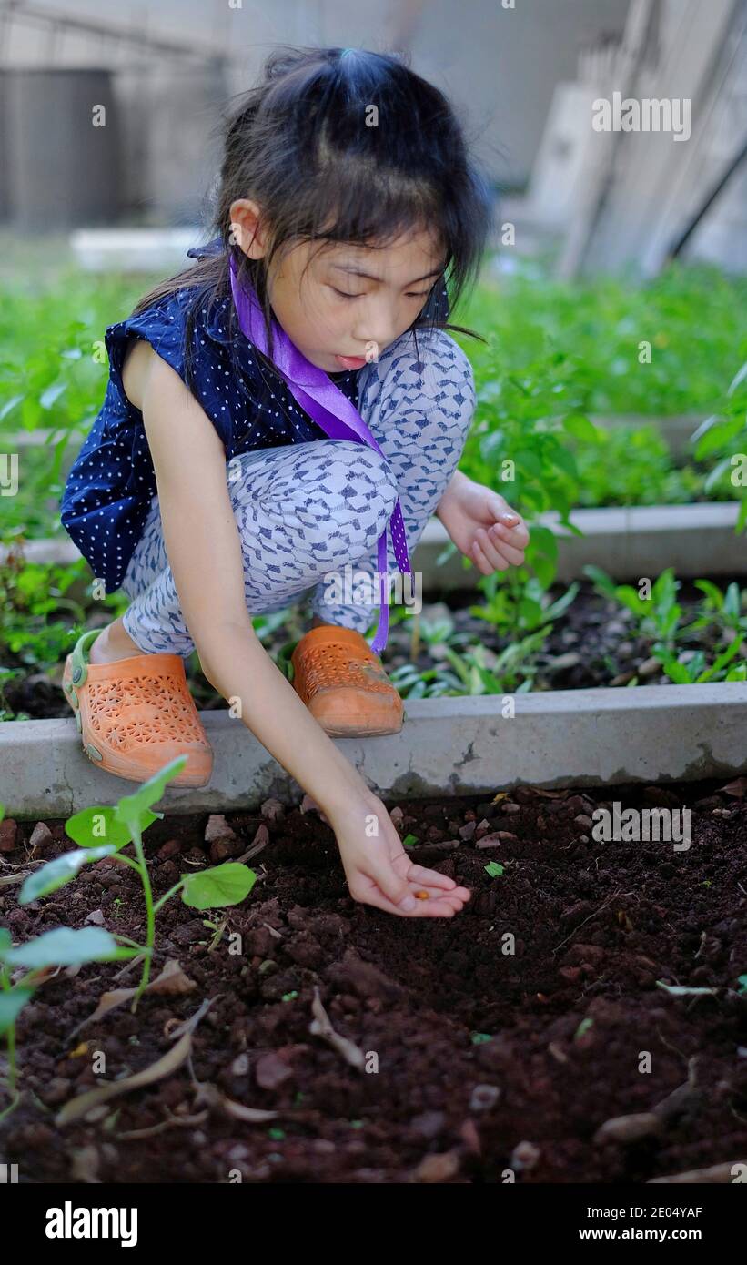Asian plant kid hi-res stock photography and images - Alamy